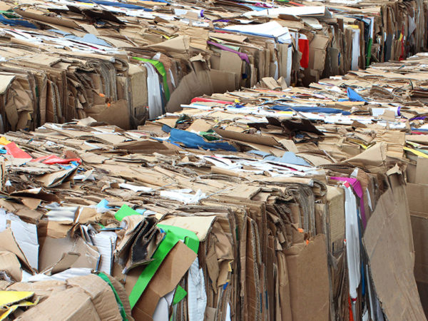 Benne déchets cartons - ALIZE ENVIRONNEMENT SERVICES DECHETS